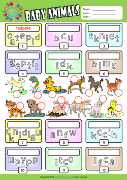 Baby Animals Unscramble Words ESL Vocabulary Worksheet