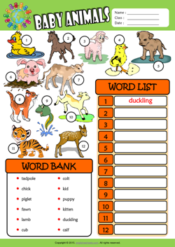 Baby Animals ESL Printable Worksheets For Kids 3