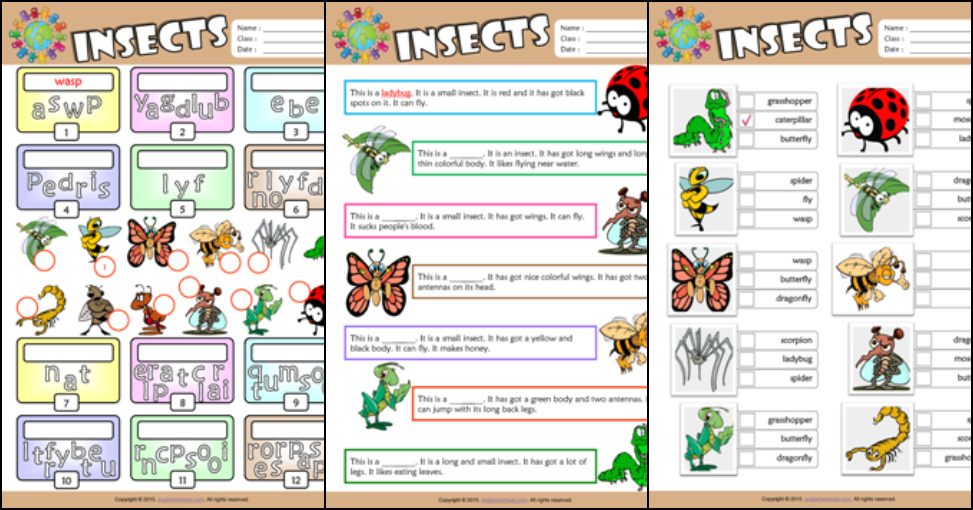 Insects ESL Printable Worksheets For Kids 2