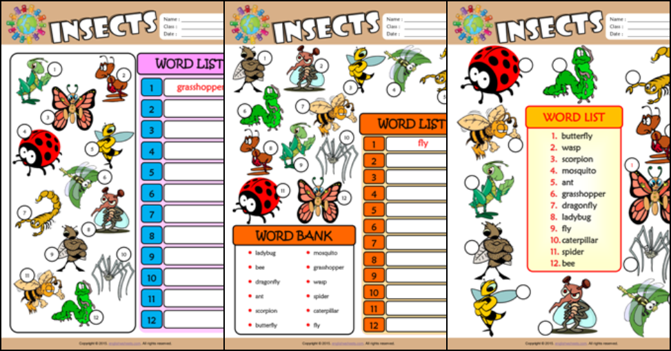 Insects ESL Printable Worksheets For Kids 3